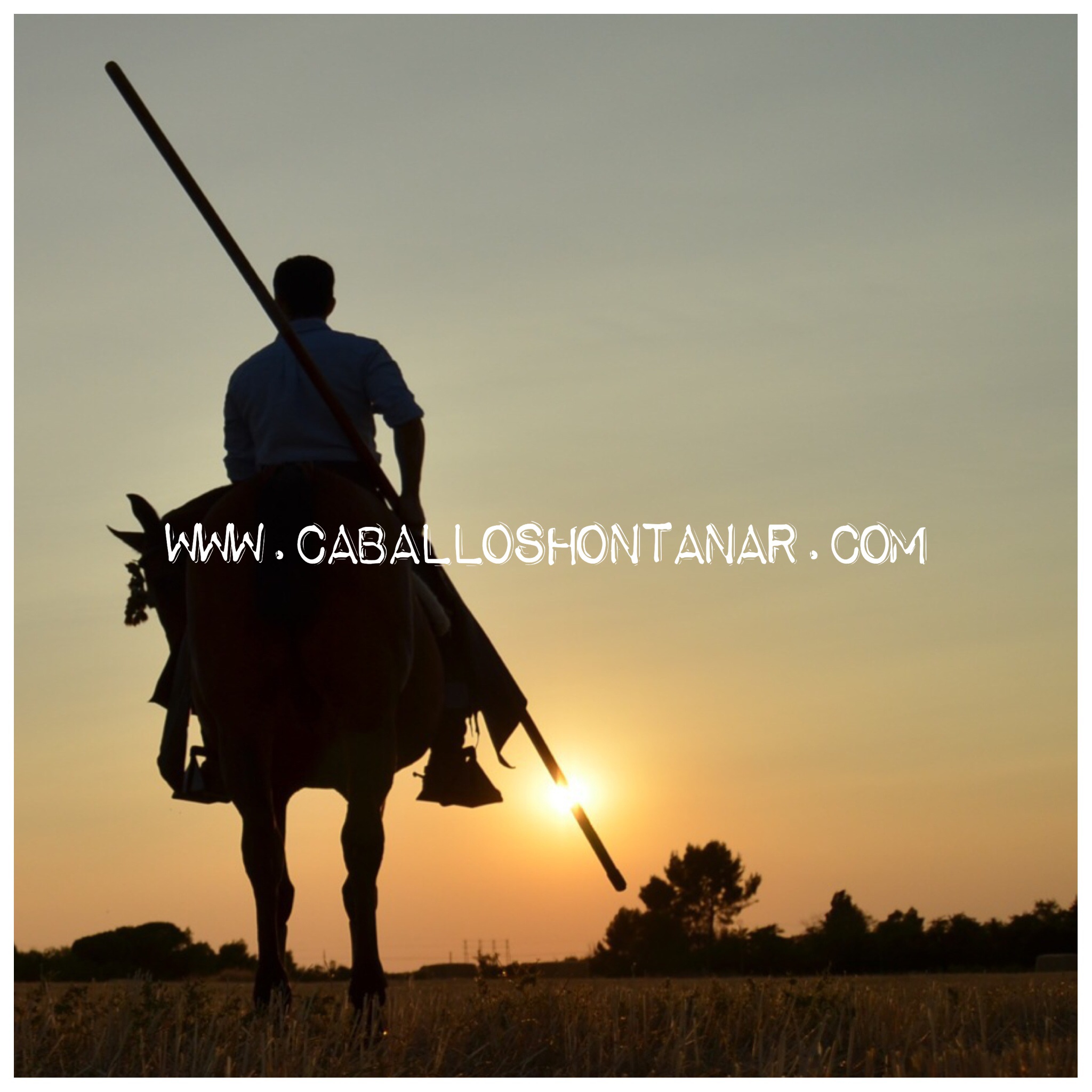 Aprende a montar a la vaquera | Caballos Hontanar Ciudad Real